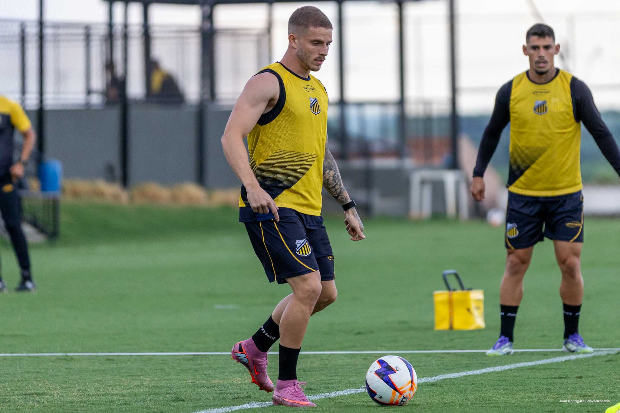 Tigre do Vale recebe o Palmeiras nesta terça, às 20h, no Jorjão, pela ...